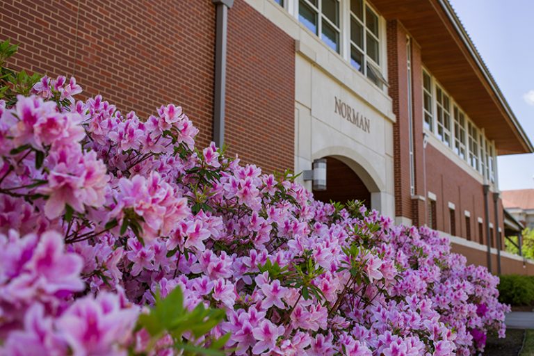 Senior Exhibitions Begin at Norman Hall Art Gallery - Arkansas Tech ...