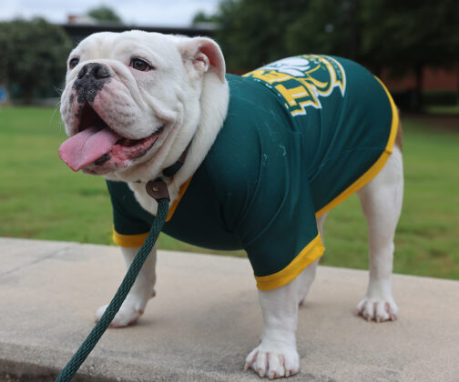Jerry's Third Birthday Party Cancelled - Arkansas Tech University